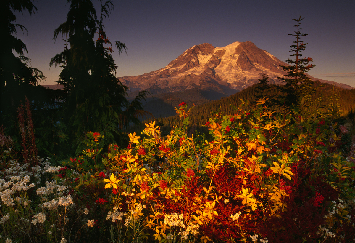 Mt Rainier Fall Color Workshop 2021 -ONE SPACE REMAINING-