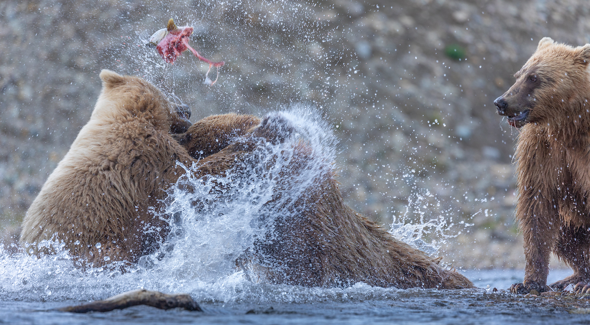 Upcoming Events – Art Wolfe Events