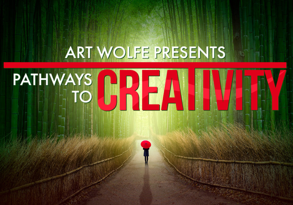 Pathways to Creativity Online Course Taught by Art Wolfe