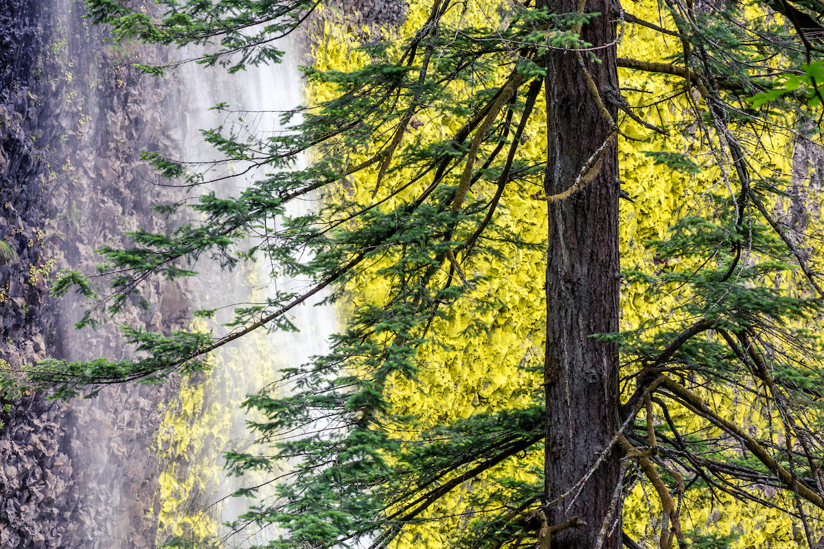 Abstract Columbia River Gorge Workshop 2026