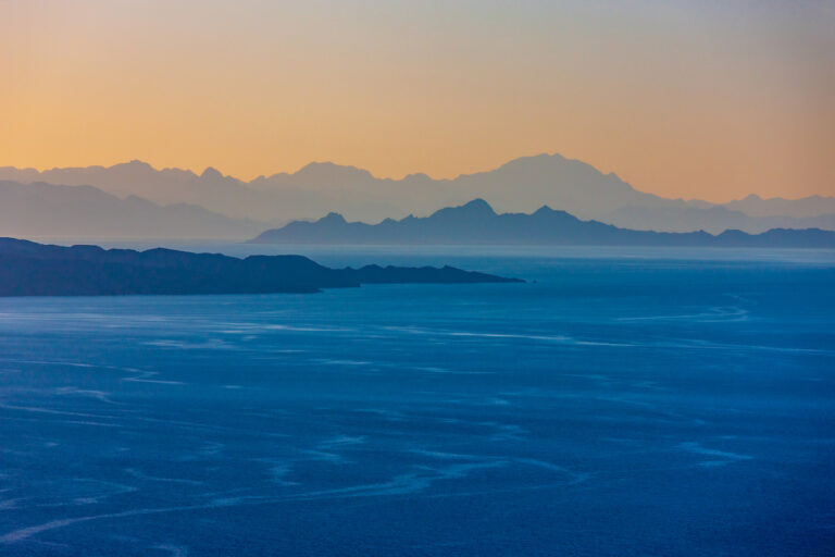 Gray Whales and the Wild Baja Coast Photo Tour